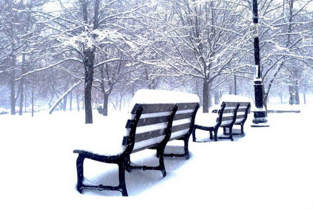 Inaugural Palmer Square Park Advisory Council Kicks Off Wednesday ...