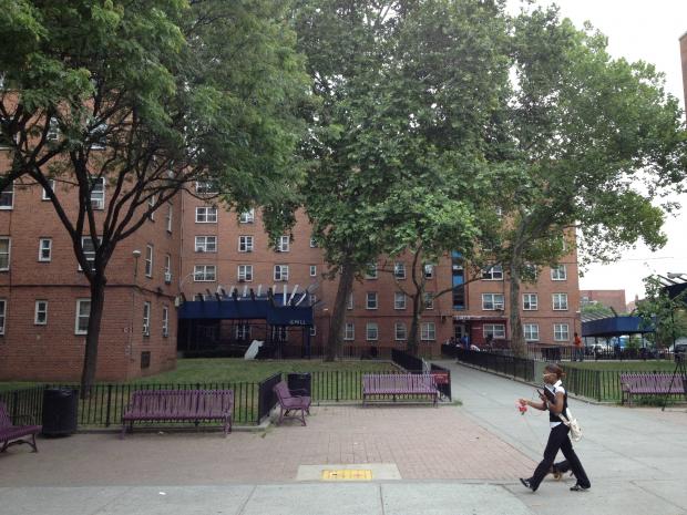 Gang Crackdown Caused Rash of Gunpoint Muggings in Red Hook, Cops Say ...