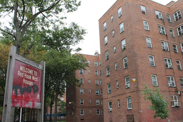 Mold Issues Persist in Red Hook Houses After Sandy, Report Finds - Red ...