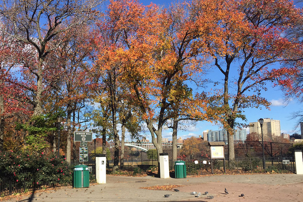 Fire Breaks Out Inside Inwood Hill Park, FDNY Says - Inwood - DNAinfo ...