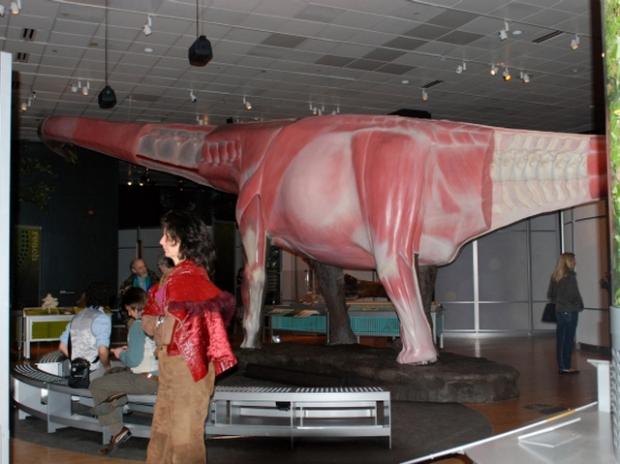 largest dinosaur exhibit