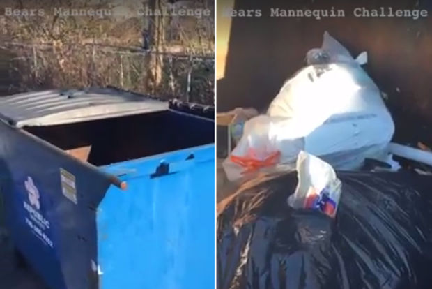 Bears Are Complete Garbage In This Legendary Mannequin Challenge ...