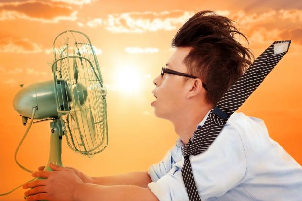 No Air Conditioning? No Sweat — Pro Tips On How To Keep Cool Naturally ...