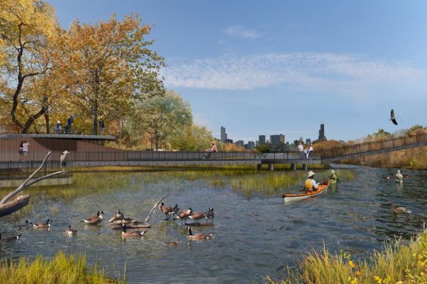 Litter-Free, Swimable Chicago Rivers? That's The Plan (PHOTOS ...