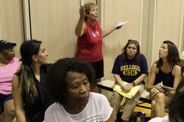 Major School Restructuring Plan In 19th Ward Met With Heated Debate ...