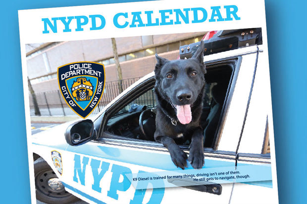 Meet the Stars of the First-Ever NYPD Canine Calendar - Civic Center ...