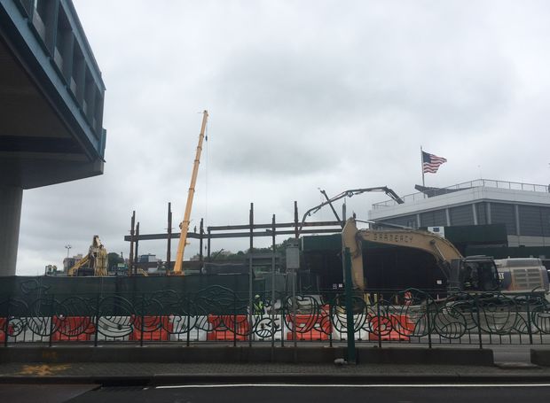 Aggressive Mosquitoes Bugging LGA Airport Workers Since Construction ...