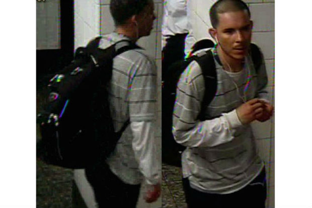 VIDEO: Mugger Jumps Onto Subway Tracks After Stealing Purse, Police Say ...